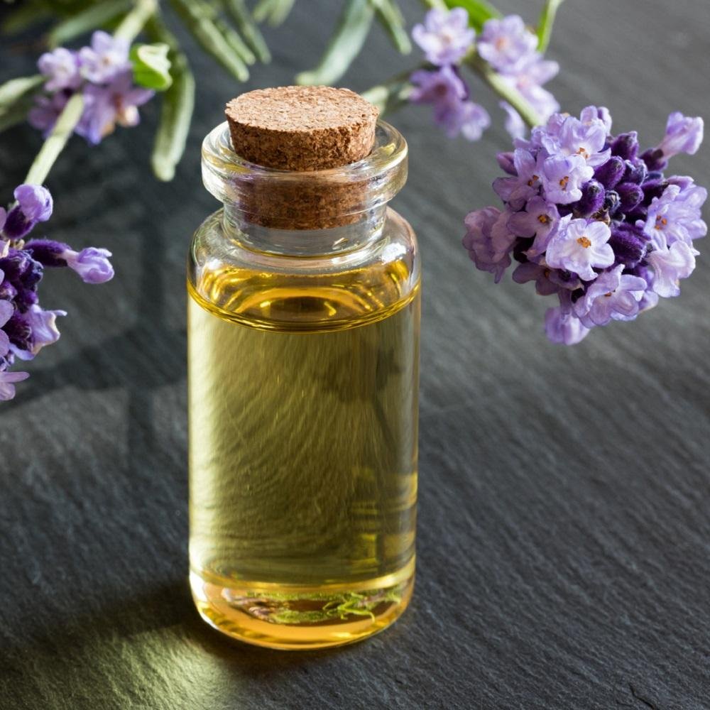 Lavender Fragrance Oil | Vedini Lavender GB Fragrance Oil