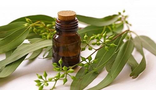 Essential Oils for Sciatica Pain | JINDEAL INC