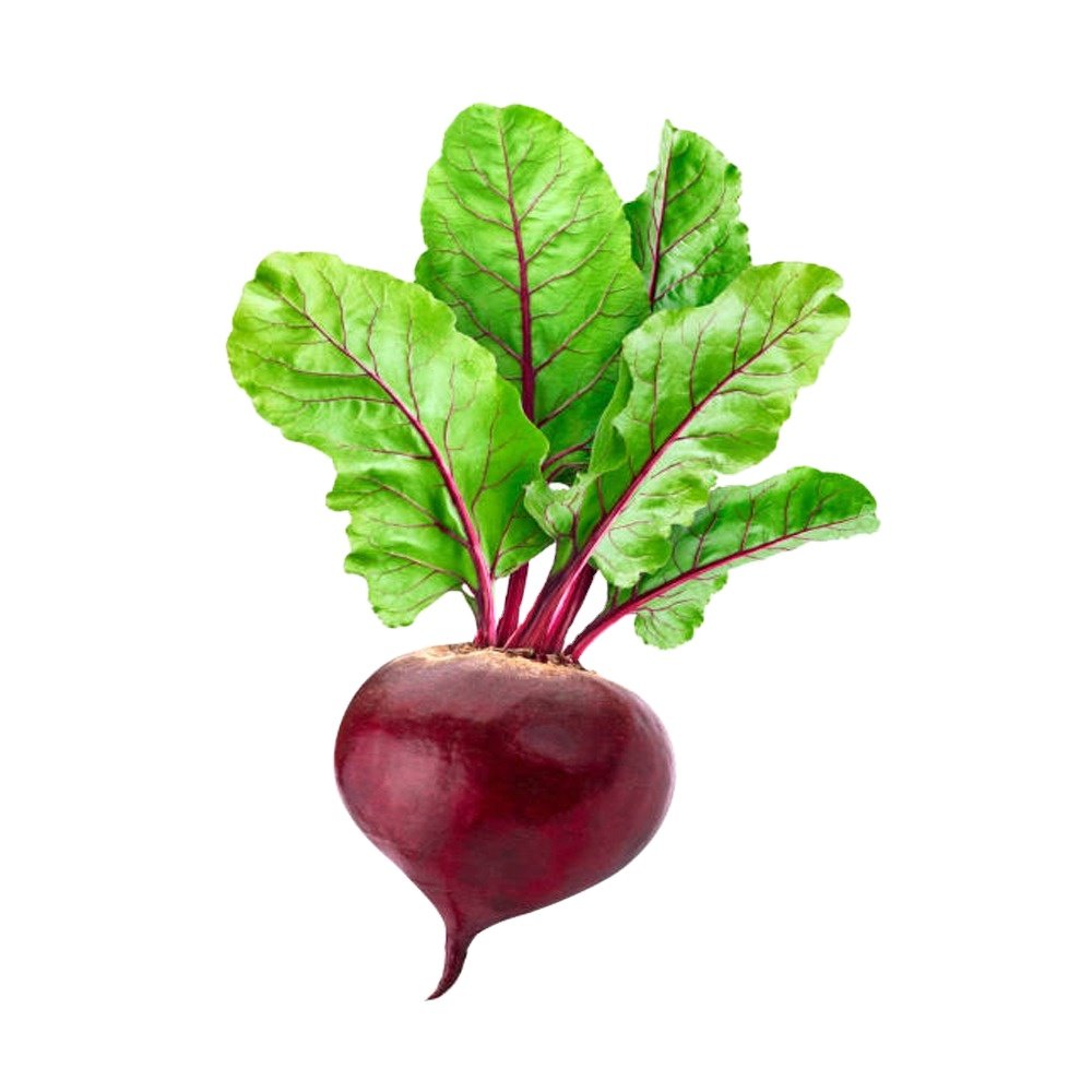 Beet Root Natural Extracts By Vedini | JINDEAL INC