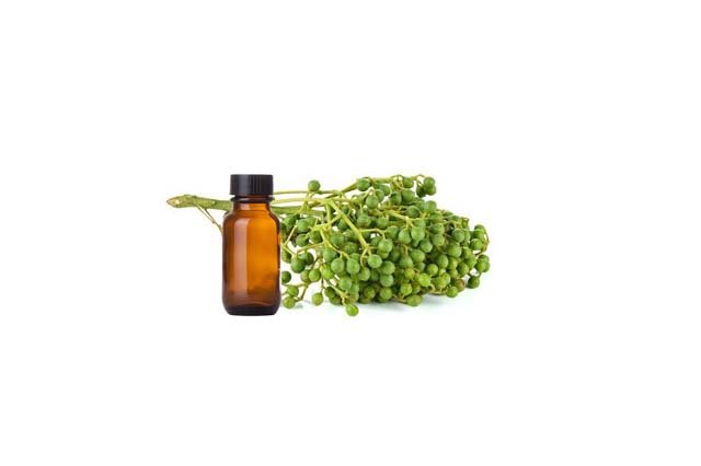 Vedini May Chang (Litsea Cubeba) Essential Oil | JINDEAL INC