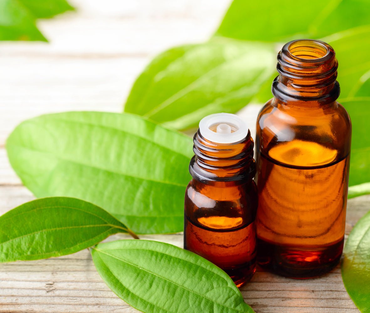 Vedini Cinnamon Leaf Essential Oil | JINDEAL INC