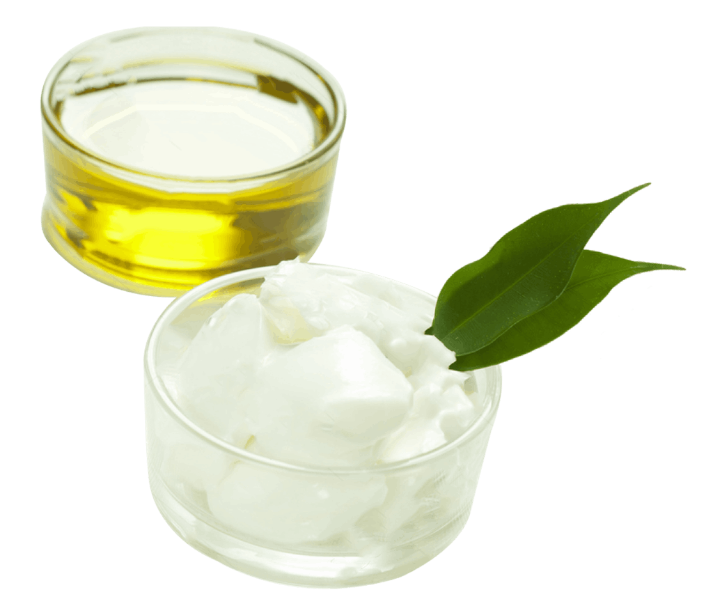 Vedini Shea Oil | JINDEAL INC | Jindeal.com